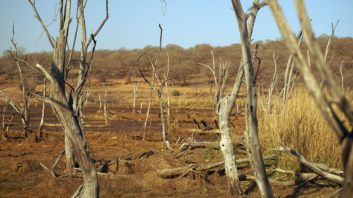 The Bangari Crisis: A Conciliation Scenario — John Paul Lederach