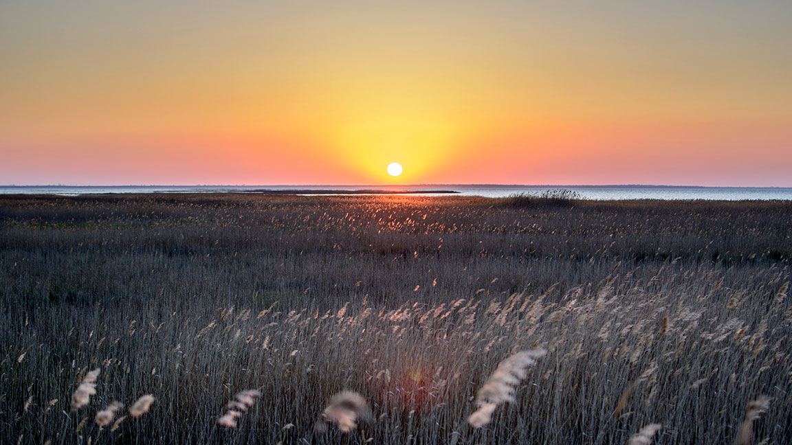 From Polarization to Healing — John Paul Lederach