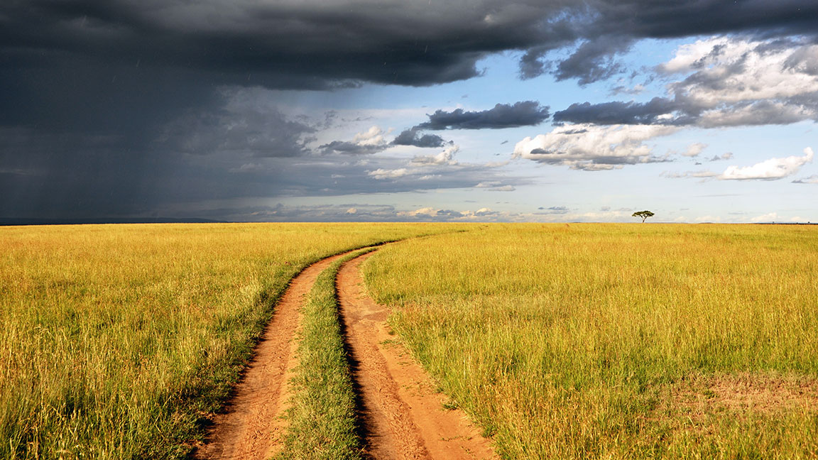 The Pause — John Paul Lederach