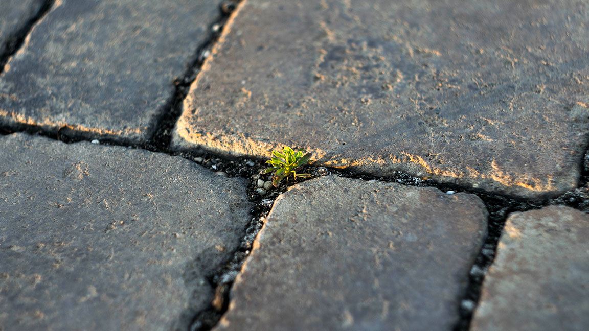 Questions to Guide Reflection on Social Change — John Paul Lederach