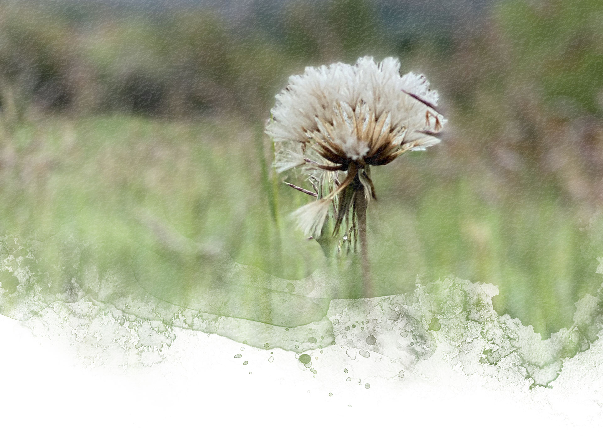 Photography — John Paul Lederach