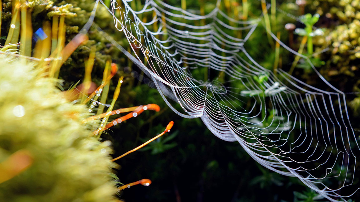 Hope and Liberation — John Paul Lederach